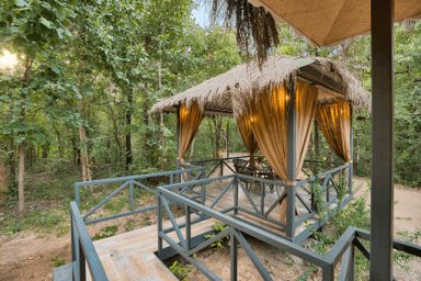 Resorts in Pench | National Park | Saj Resorts